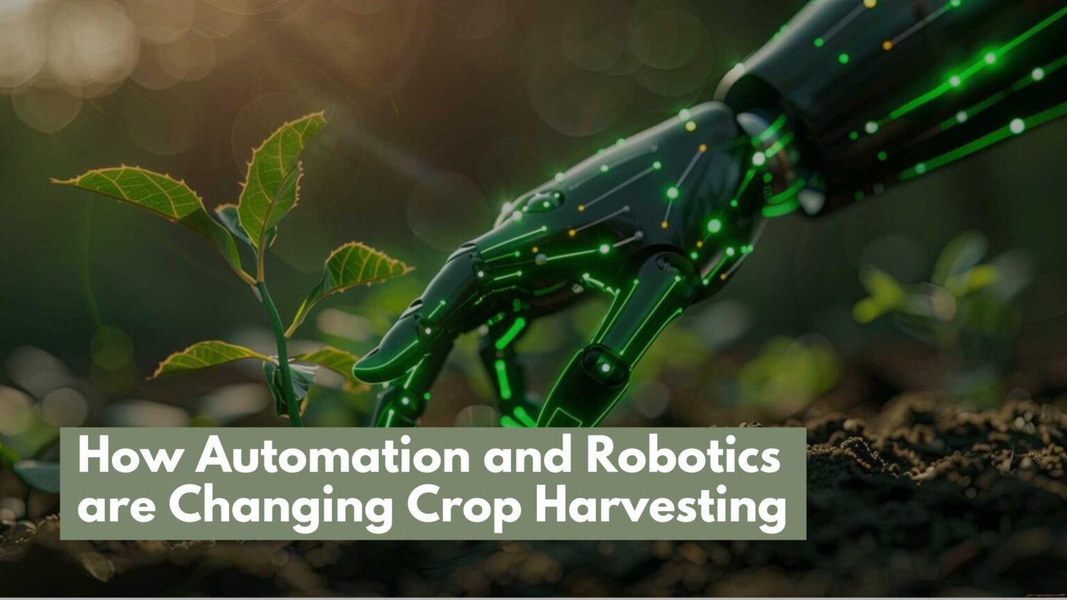 How Automation and Robotics are Changing Crop Harvesting - Harisharan ...